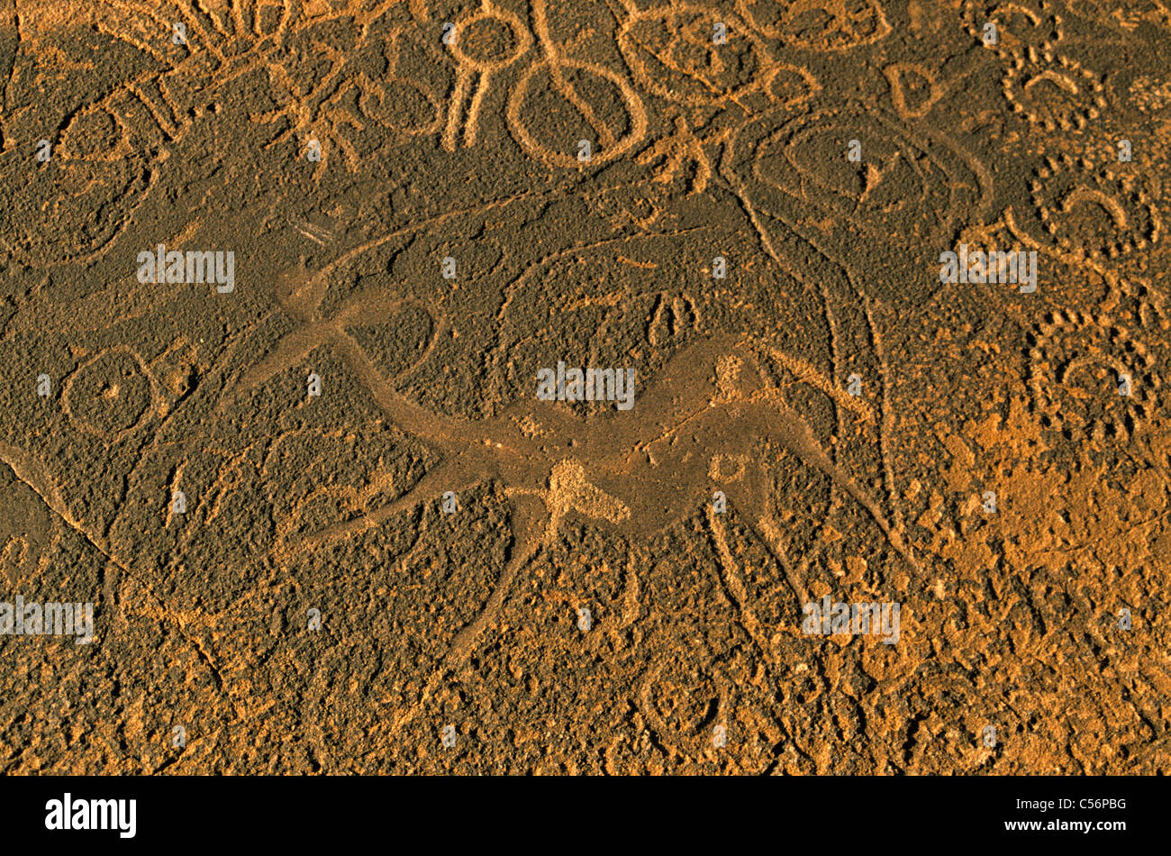 San Bushman engraving known as THE DANCING KUDU on rock face in Namibia ...