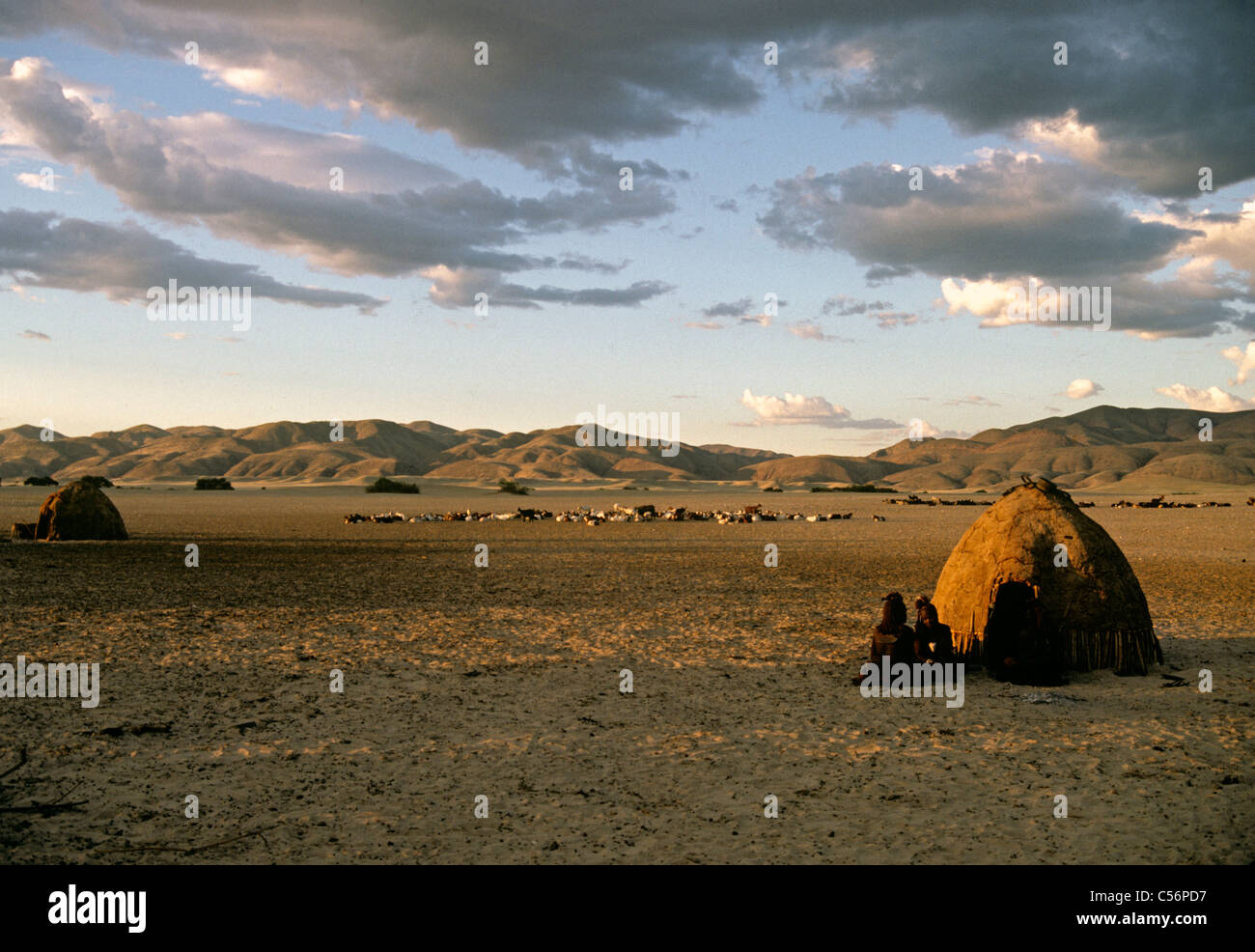 Mud huts and herds of goats and cattle of the Himba people in Kaokoland ...