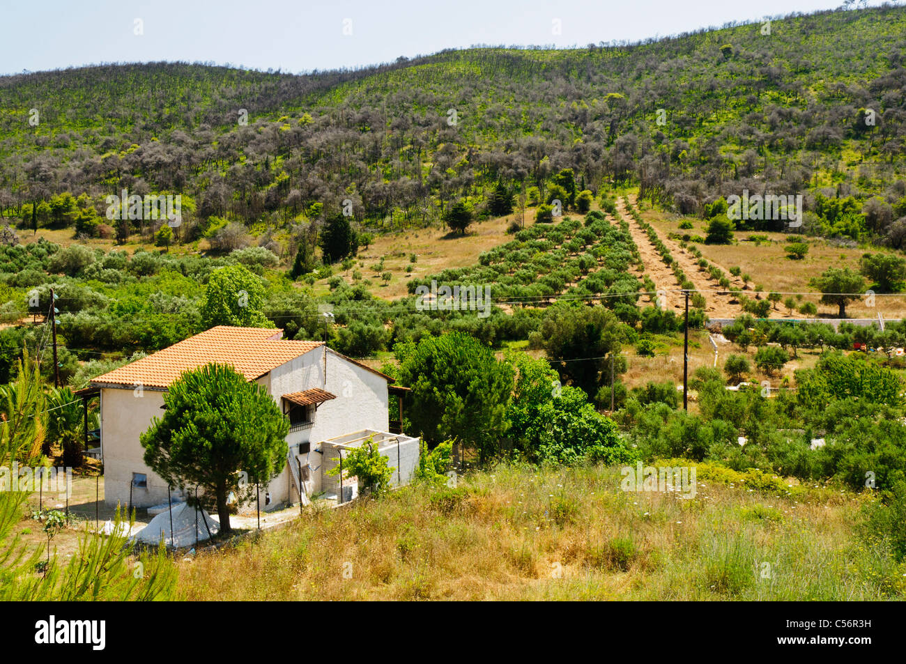 Farming Greek Stock Photos & Farming Greek Stock Images - Alamy