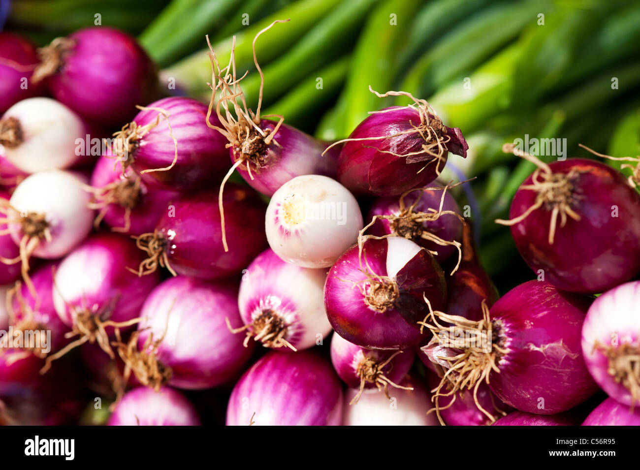 BABY RED ONIONS AT MILL CITY FARMERS MARKET MINNEAPOLIS Stock Photo - Alamy