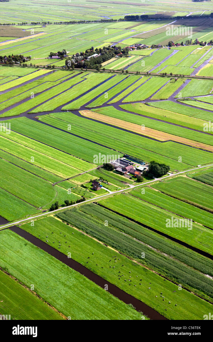 The Netherlands, near Purmerend, Aerial of polder landscapes and farms ...