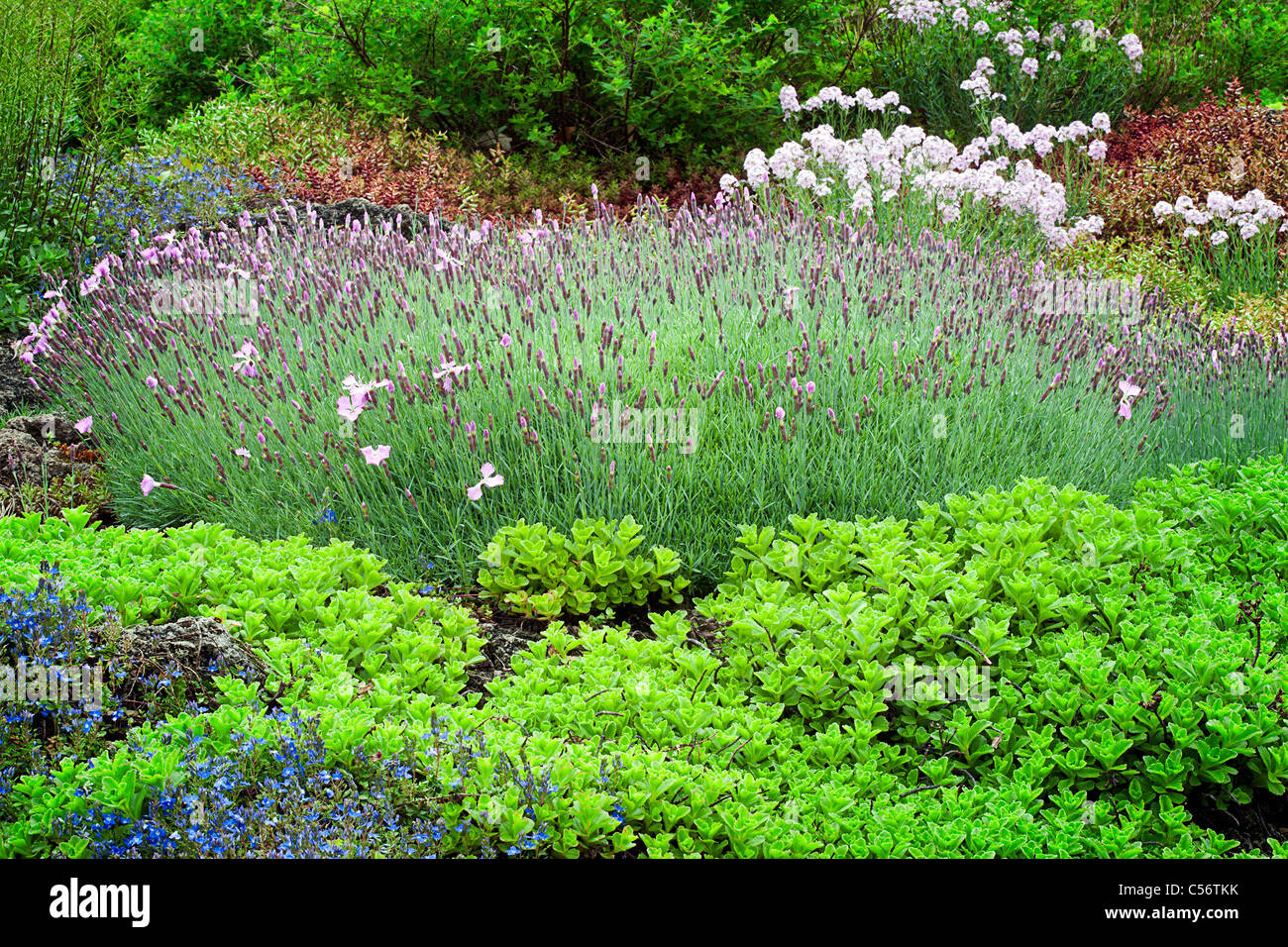 Exterior View at Botanical Garden Stock Photo - Alamy