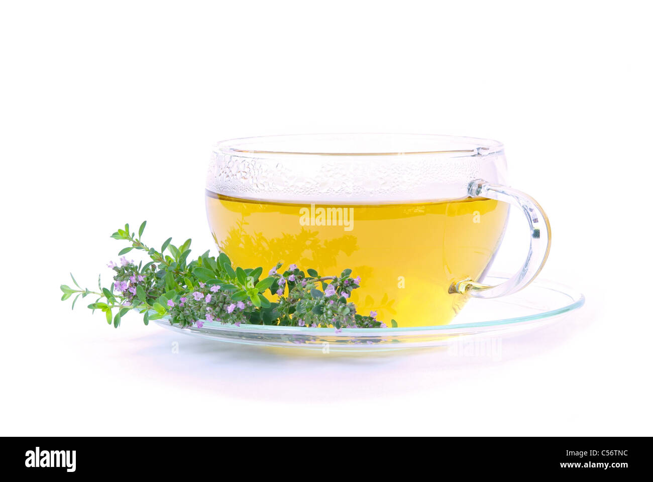 Tee Thymian - tea thymus 03 Stock Photo - Alamy