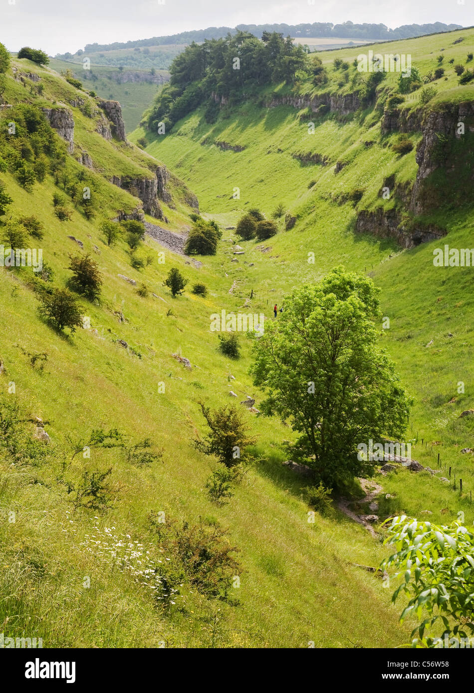 Lathkill Dale in the Derbyshire Peak District Stock Photo - Alamy