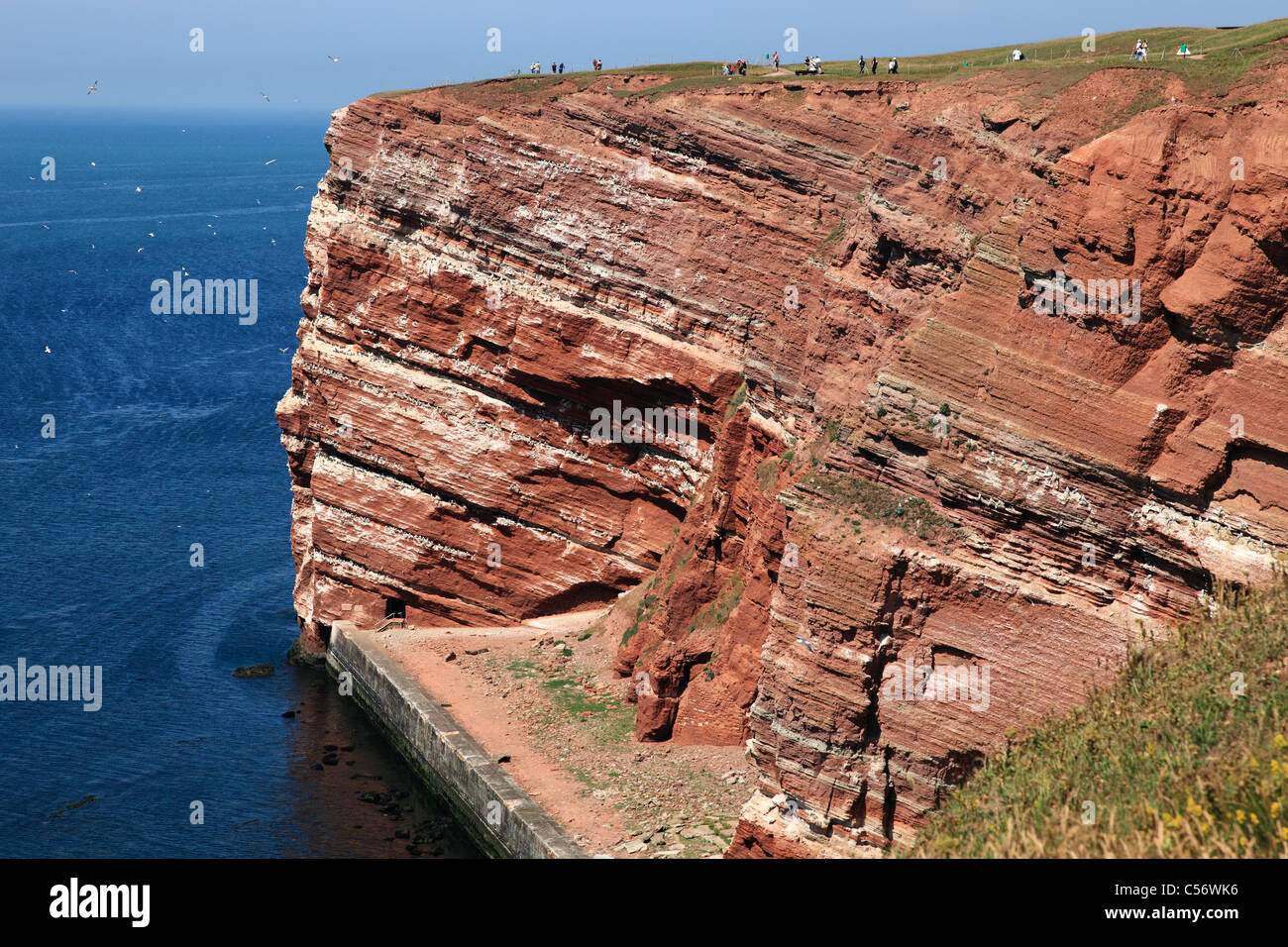 bird rock on island Helgoland Stock Photo - Alamy