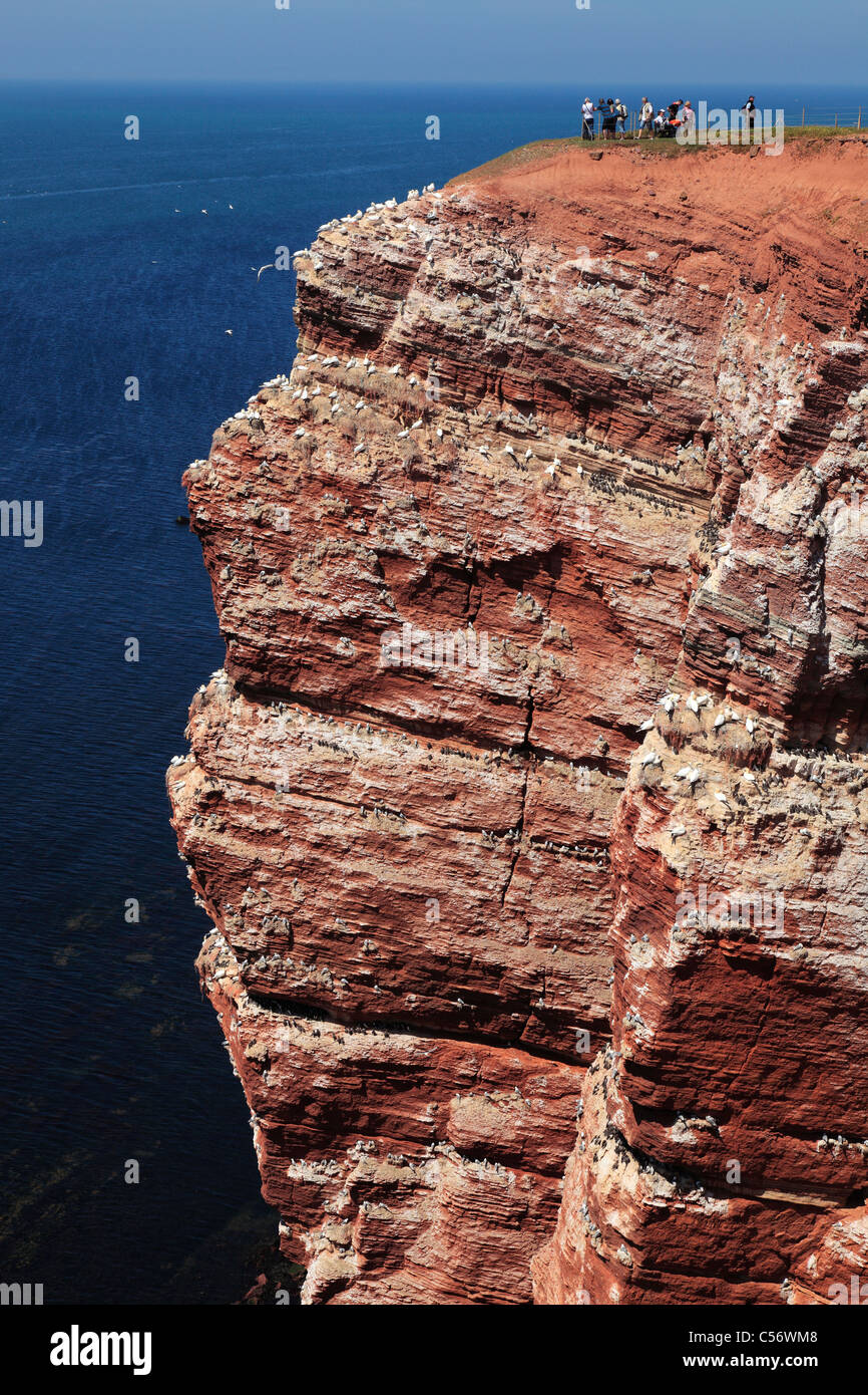 British heligoland hi-res stock photography and images - Alamy