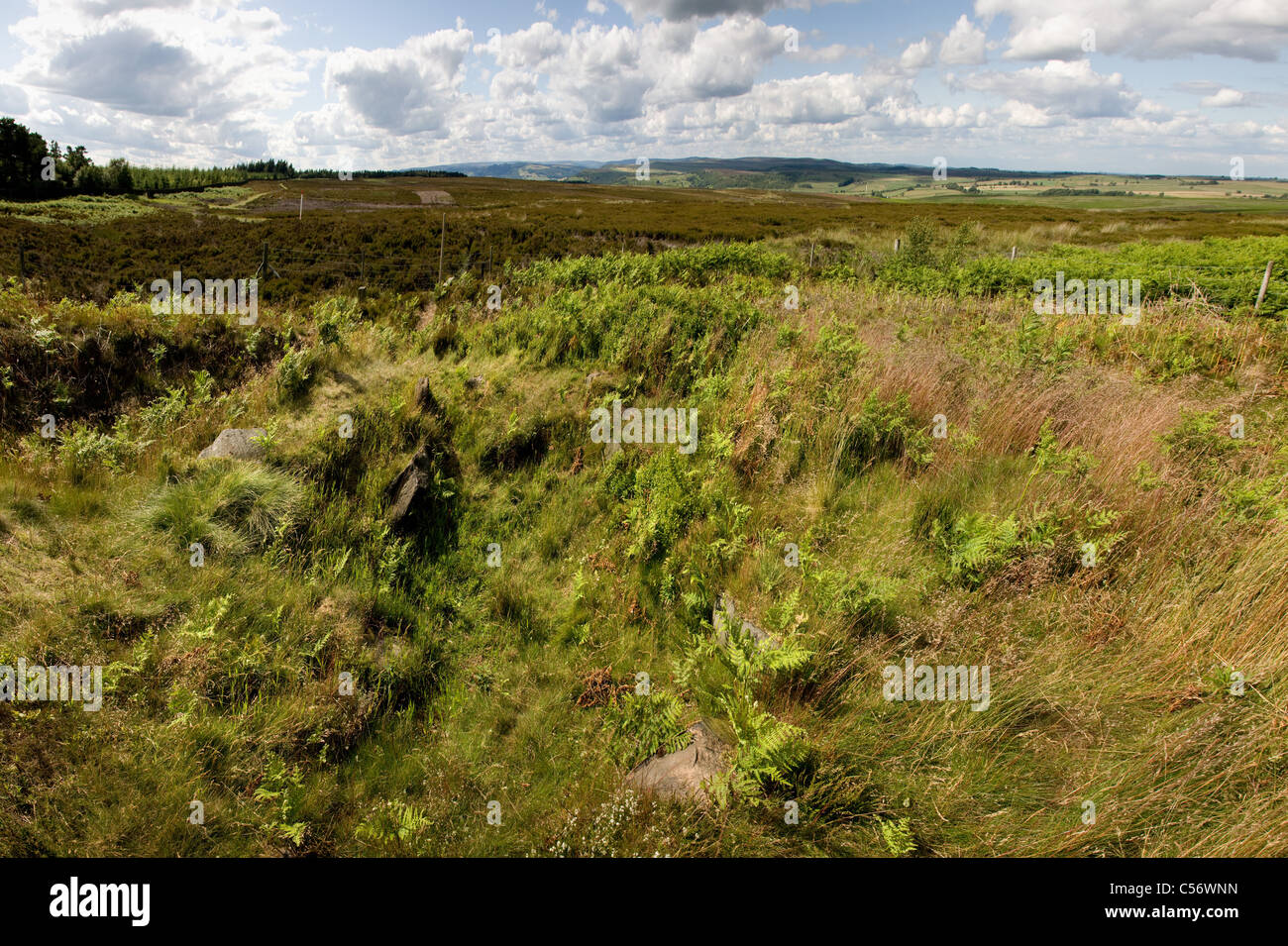 Hob Hurst's House a bronze age burial mound on Beeley Edge near ...