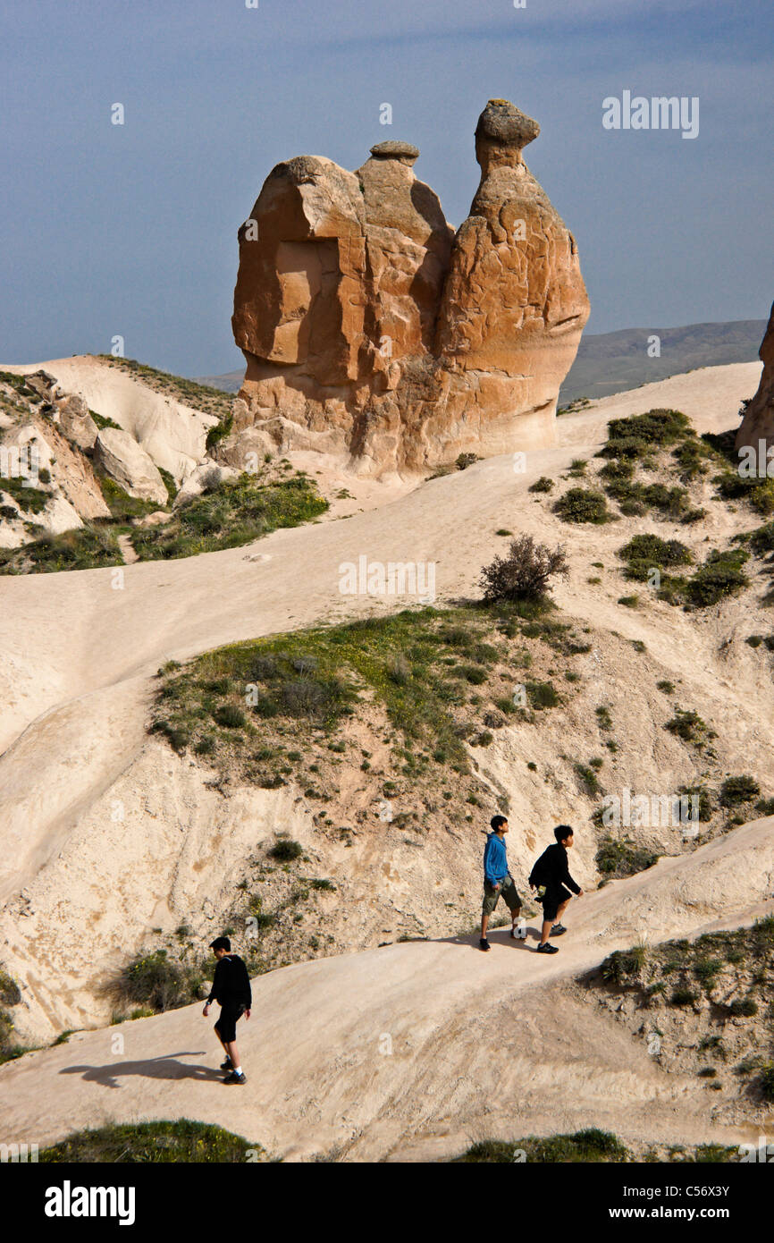 Camel Rock, Imagination Valley (Pink Valley), Cappadocia, Turkey Stock ...