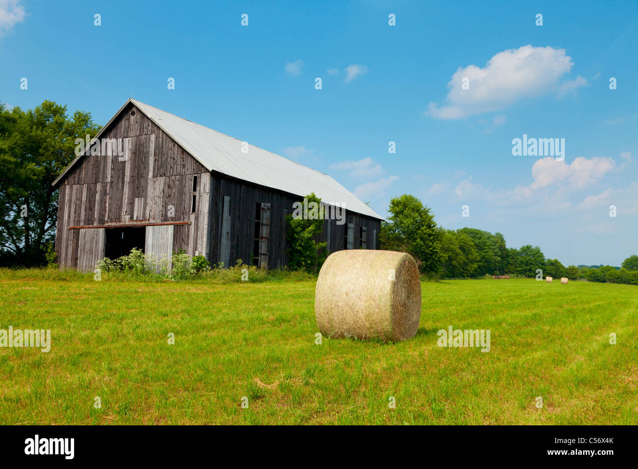 Hay bales in a field with an old barn Stock Photo - Alamy