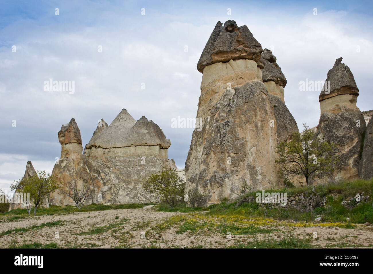 Fairy chimneys near Urgup/Goreme, Cappadocia, Turkey Stock Photo - Alamy