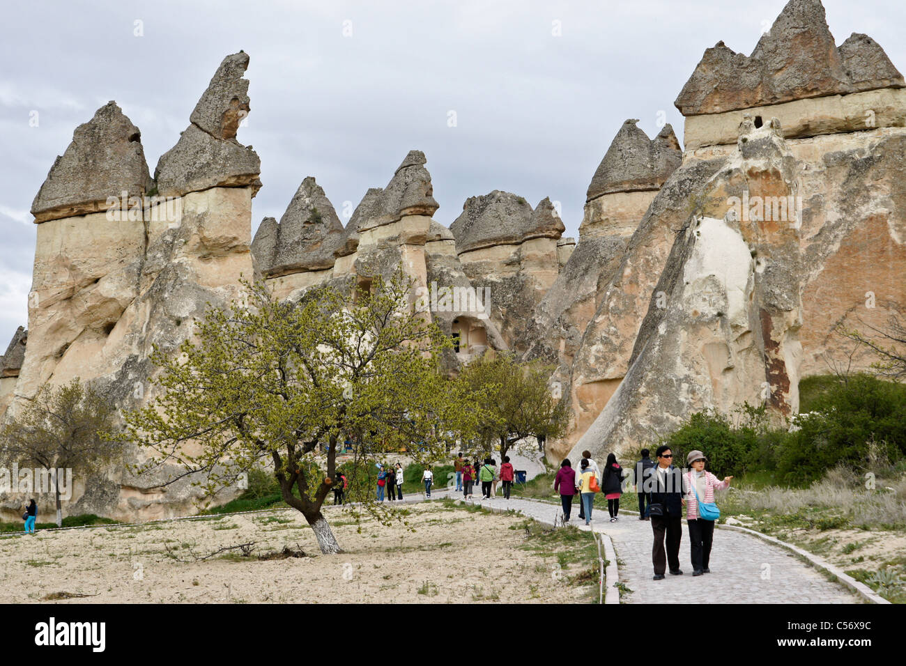 Fairy chimneys near Urgup/Goreme, Cappadocia, Turkey Stock Photo - Alamy