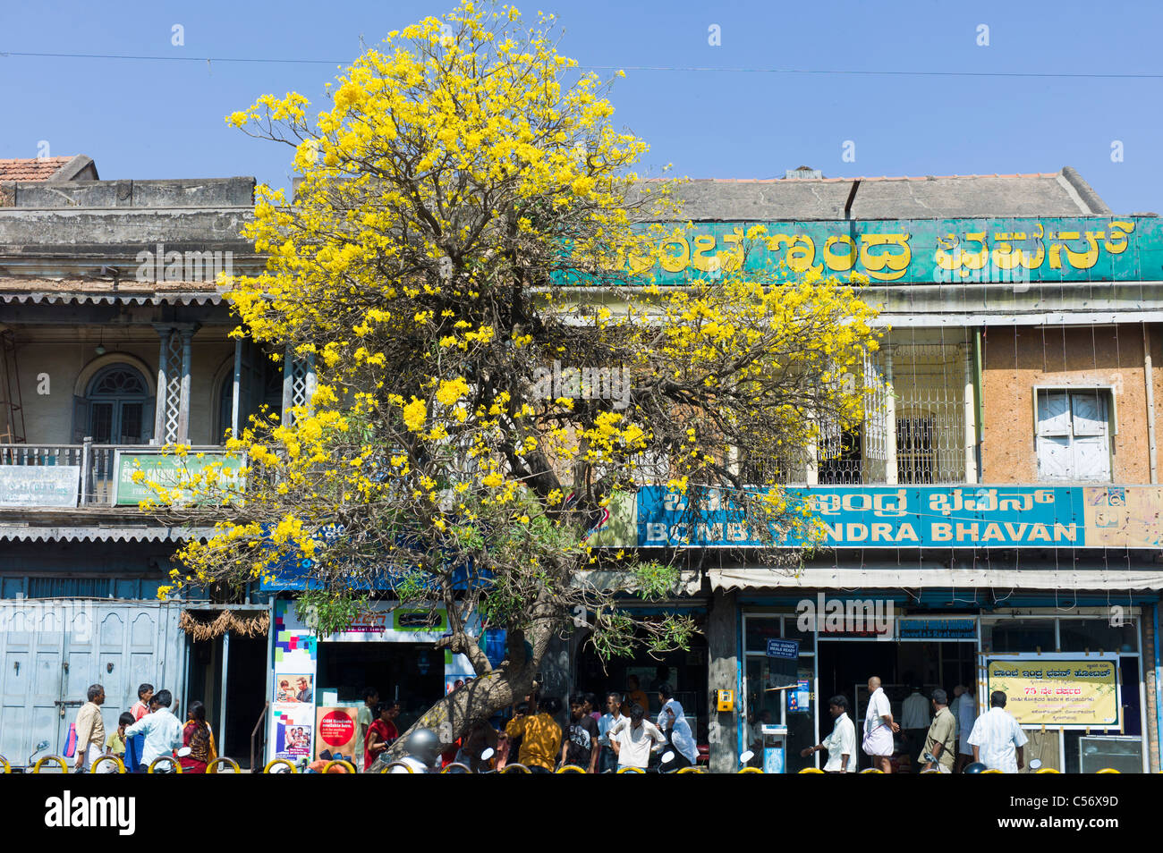A shopping street in the center of Mysore, Karnataka province, India ...