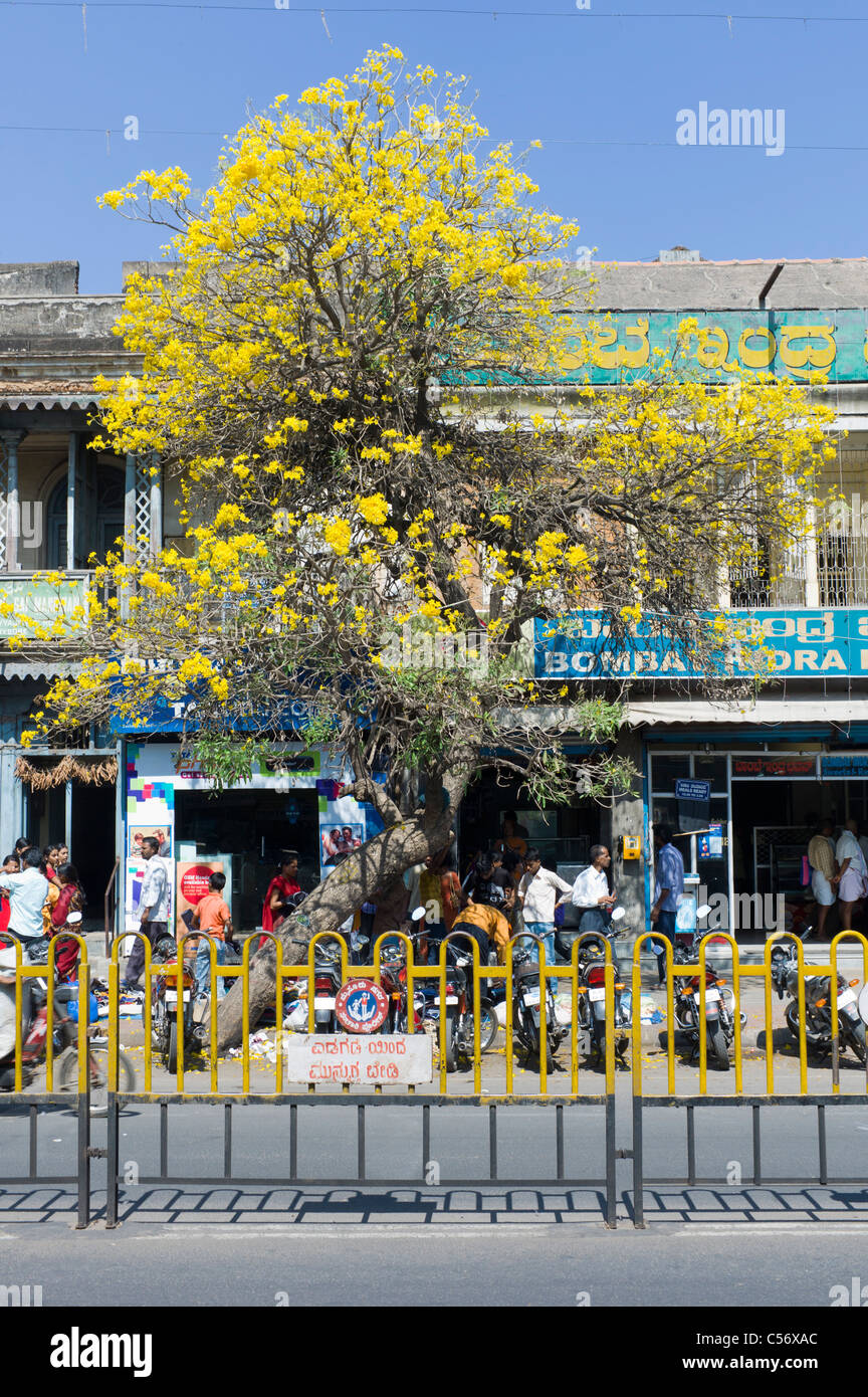 A shopping street in the center of Mysore, Karnataka province, India ...