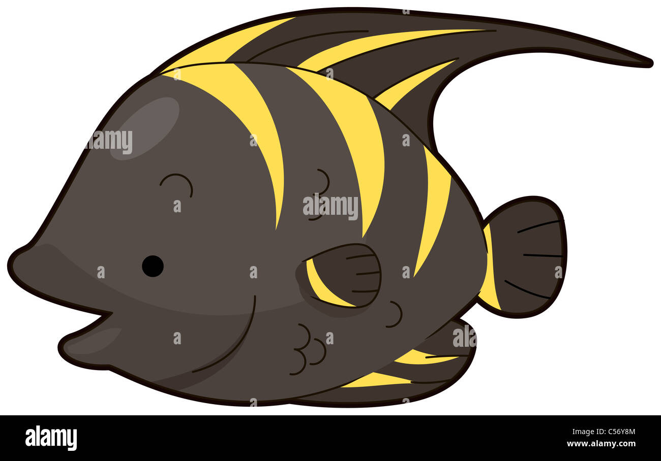 A Cute Angelfish Swimming to the Left, Isolated against White ...