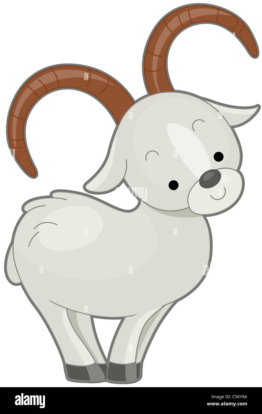 Dall Sheep Facing the Right Side, Isolated against White Background ...