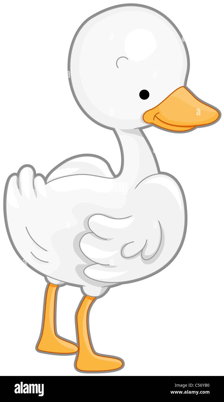 A Cute White Goose Facing Towards the Right Stock Photo - Alamy