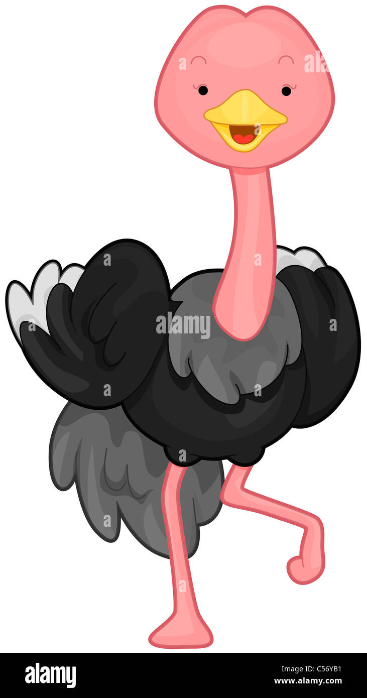 A Cute Ostrich Standing on One Leg Stock Photo - Alamy