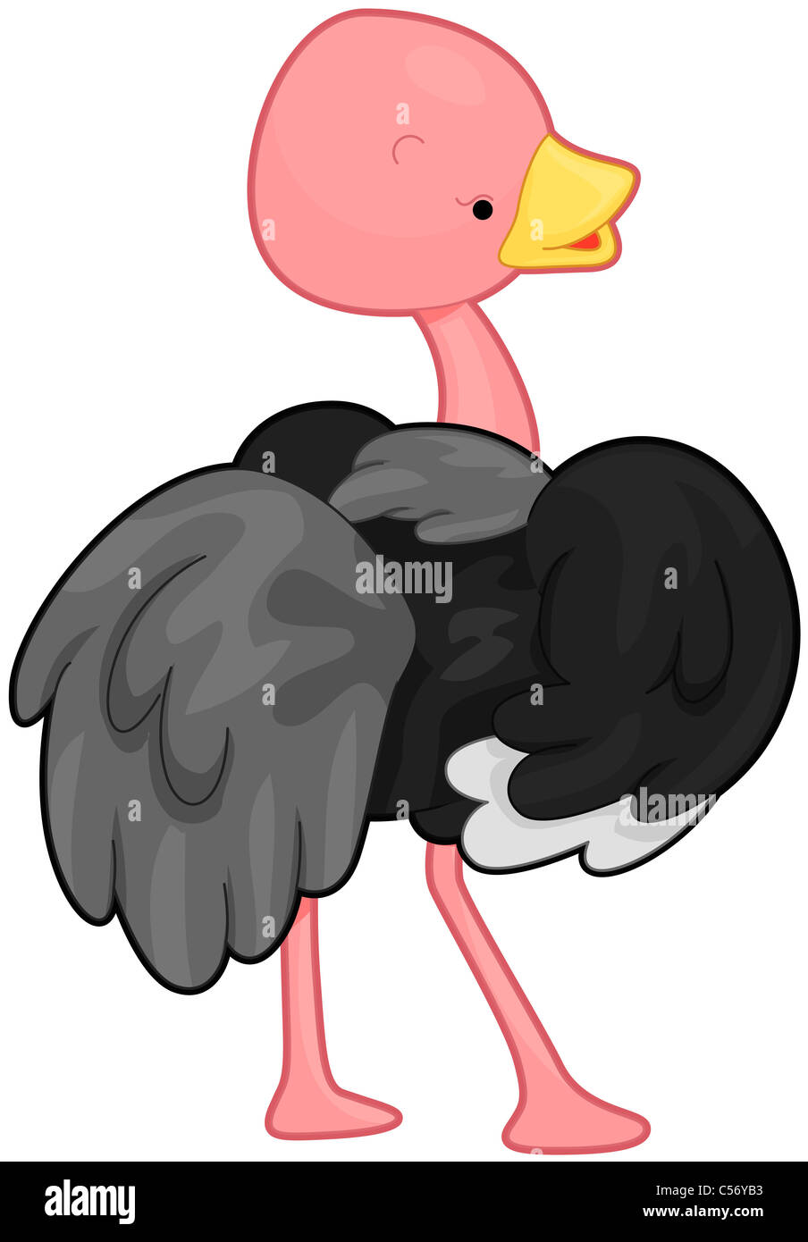 Back of ostrich hi-res stock photography and images - Alamy