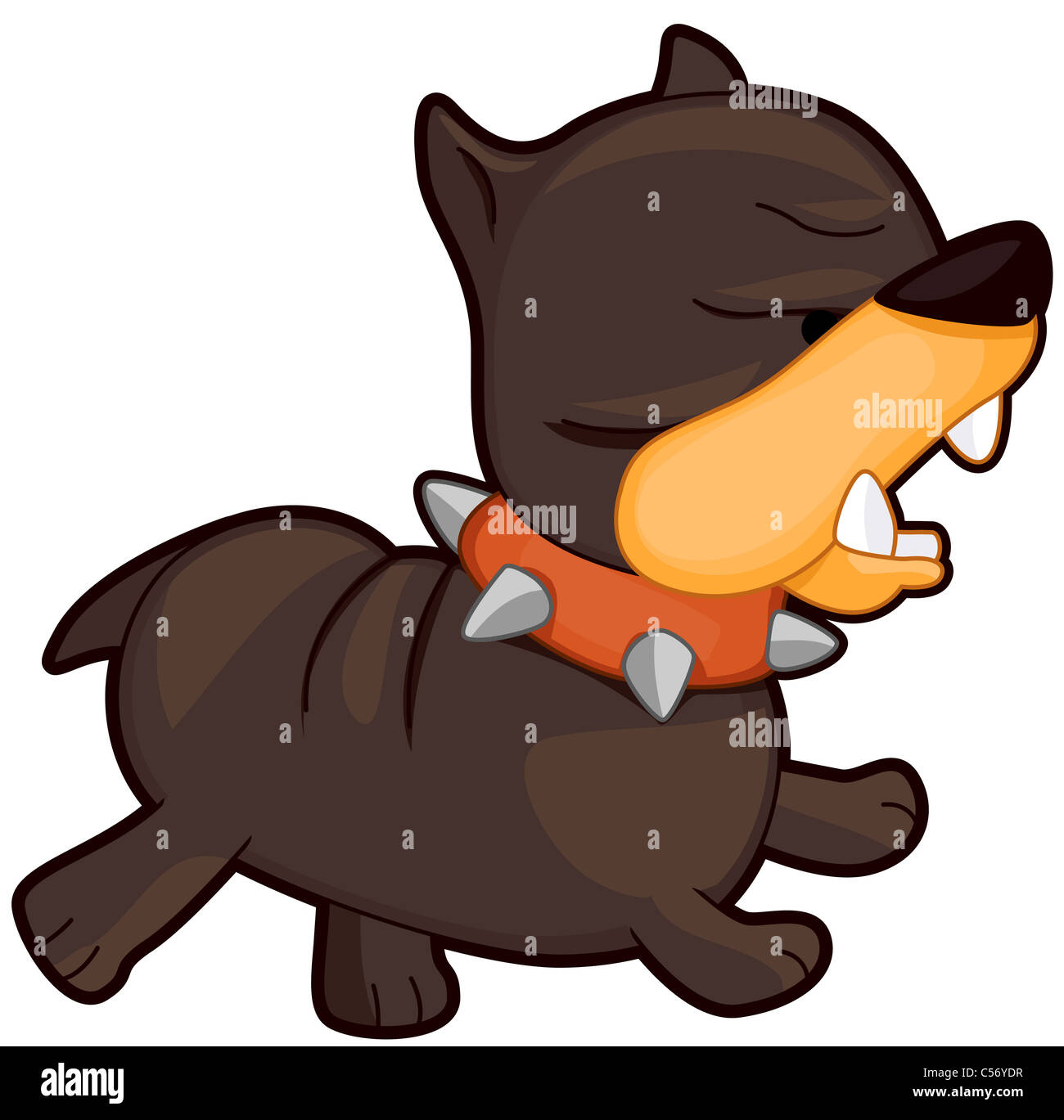 An Angry Pit Bull Chasing Something Against White Background Stock ...