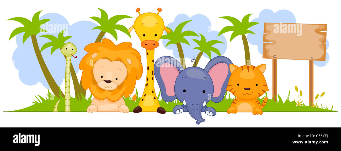A Group of Wild Animals Against White Background Stock Photo - Alamy