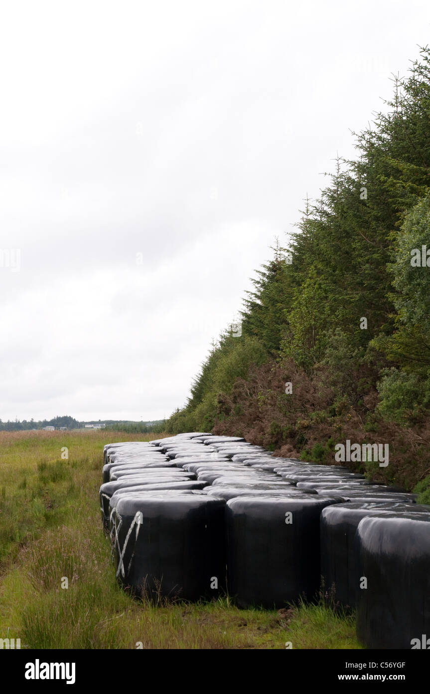 SILAGE BALES IN FIELD BESIDE FOREST Stock Photo - Alamy