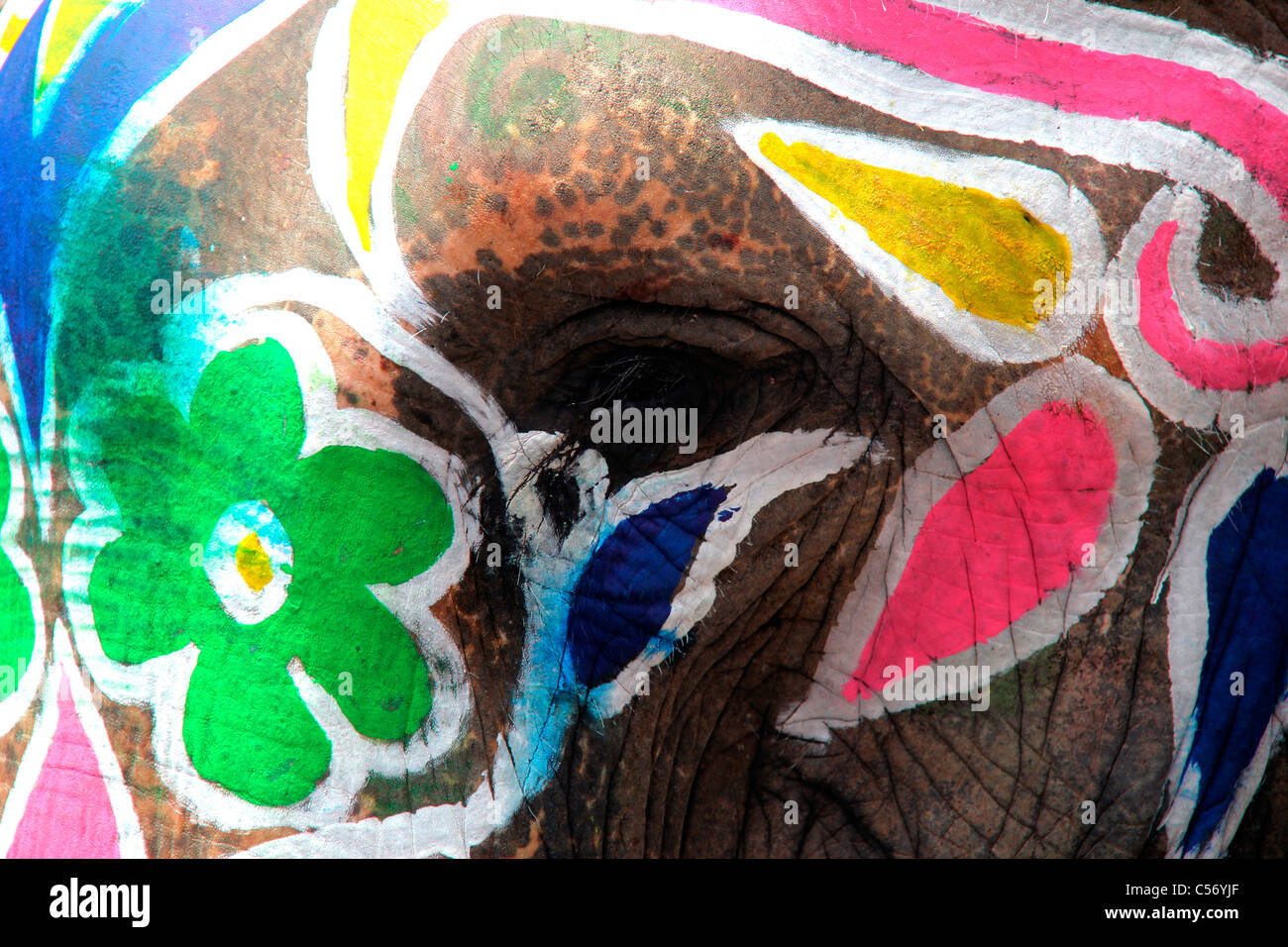 Decorated elephant head Stock Photo - Alamy