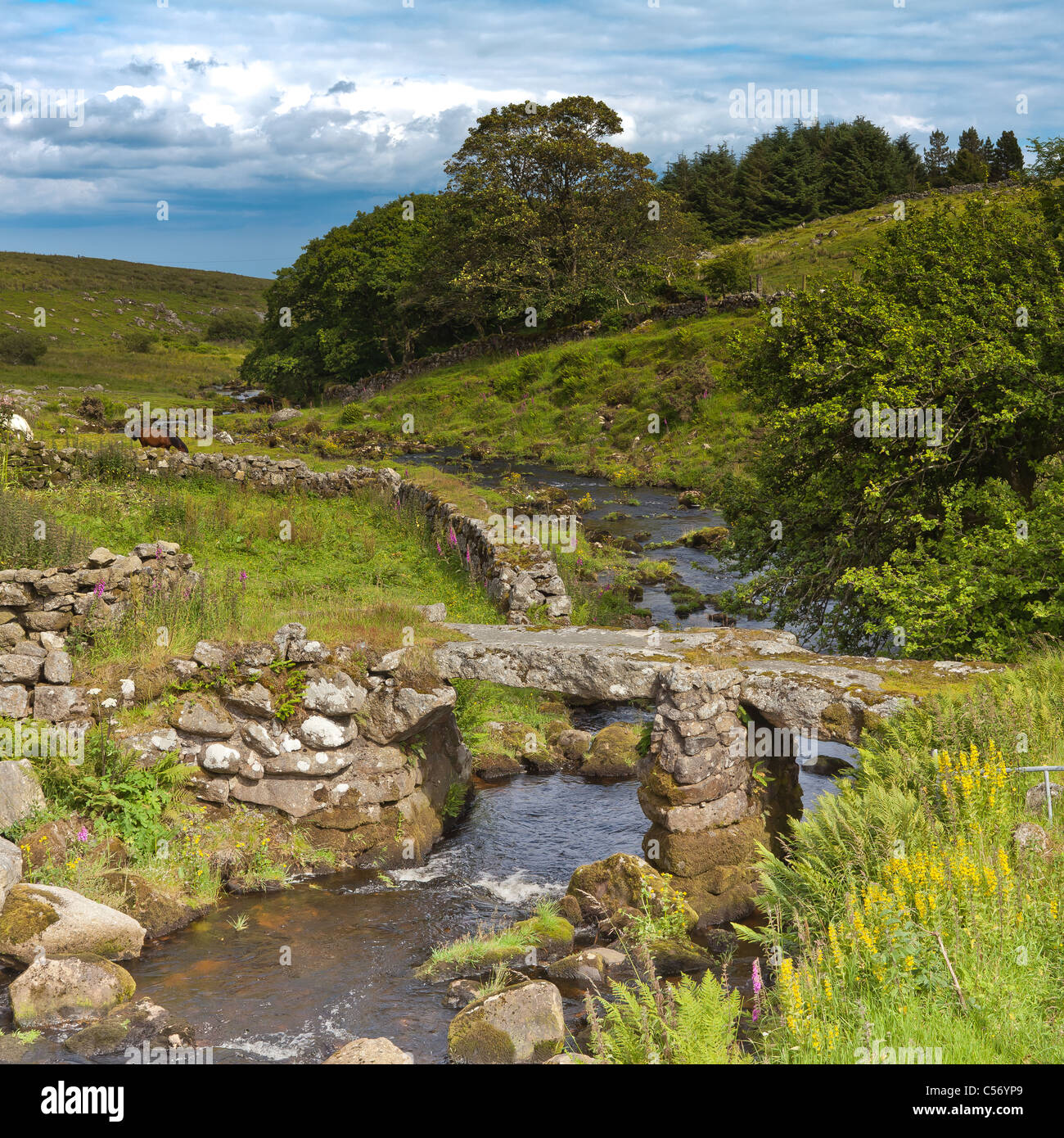 Ancient clapper bridge near Princetown, Dartmoor, Devon, UK Stock Photo ...