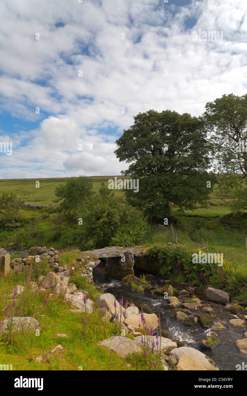 Ancient clapper bridge near Princetown, Dartmoor, Devon, UK Stock Photo ...