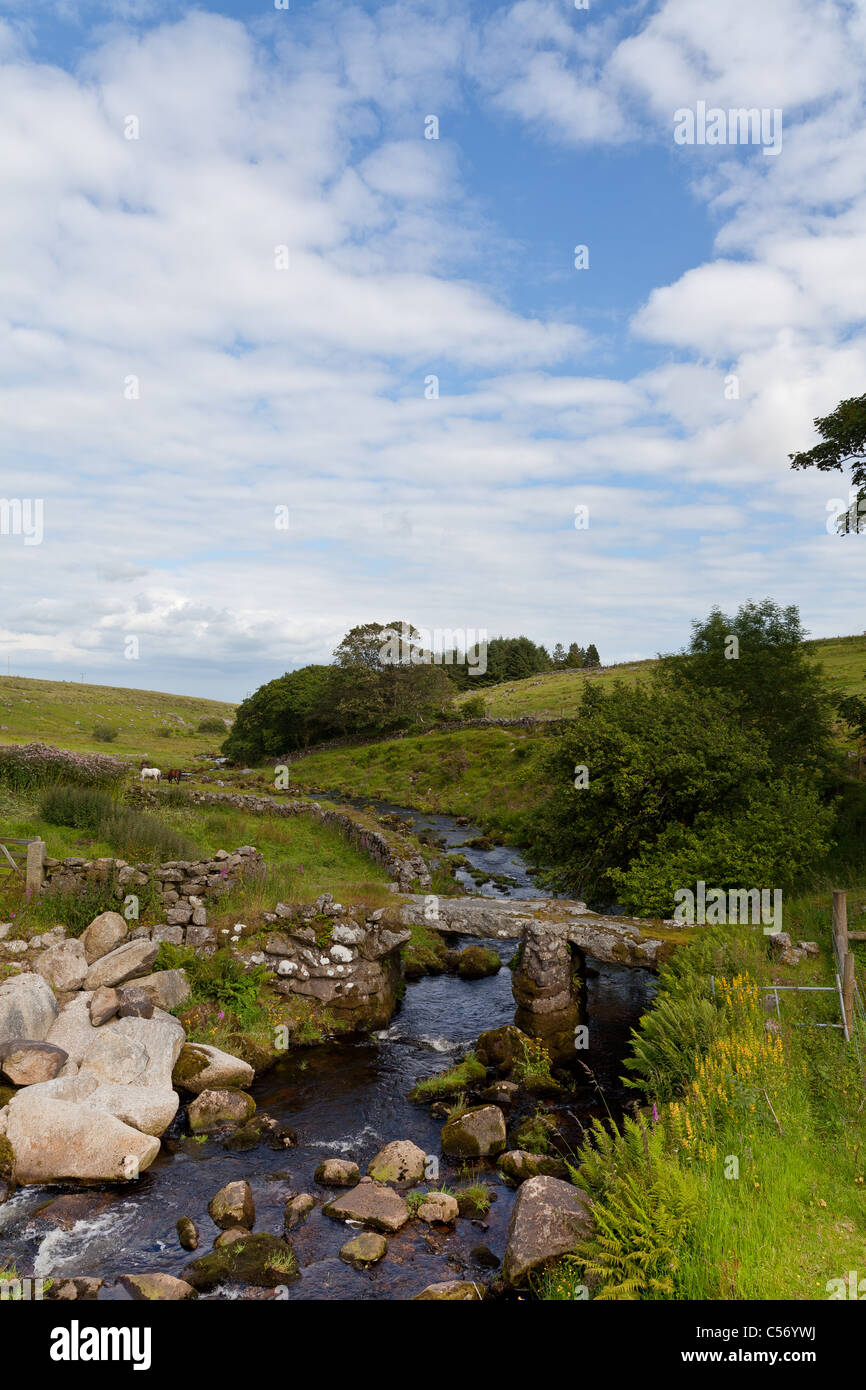 Ancient clapper bridge near Princetown, Dartmoor, Devon, UK Stock Photo ...