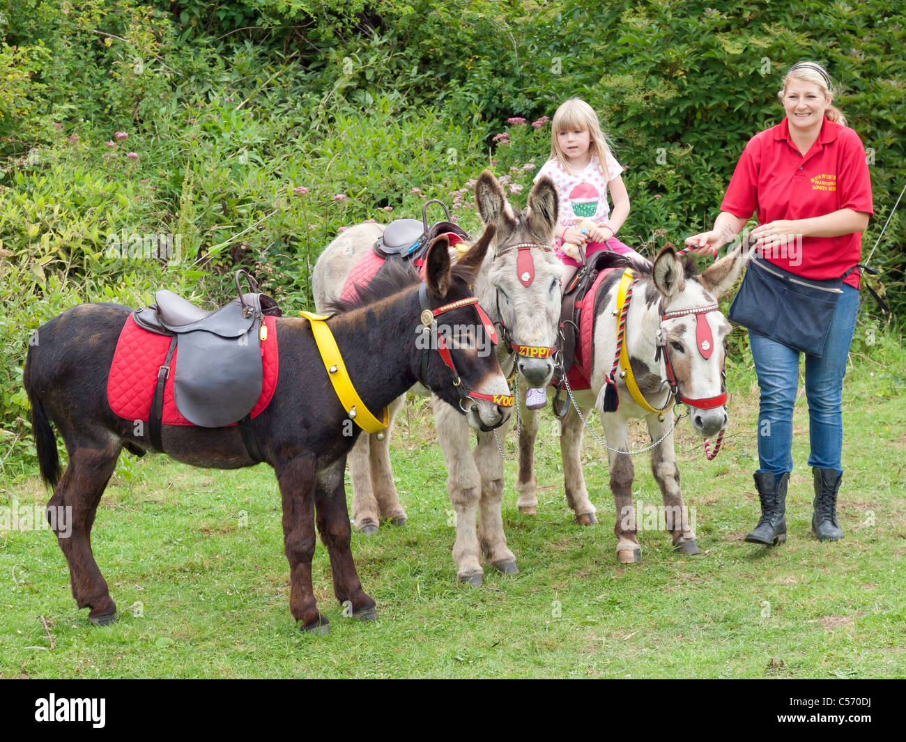 Donkey ride woman hi-res stock photography and images - Alamy
