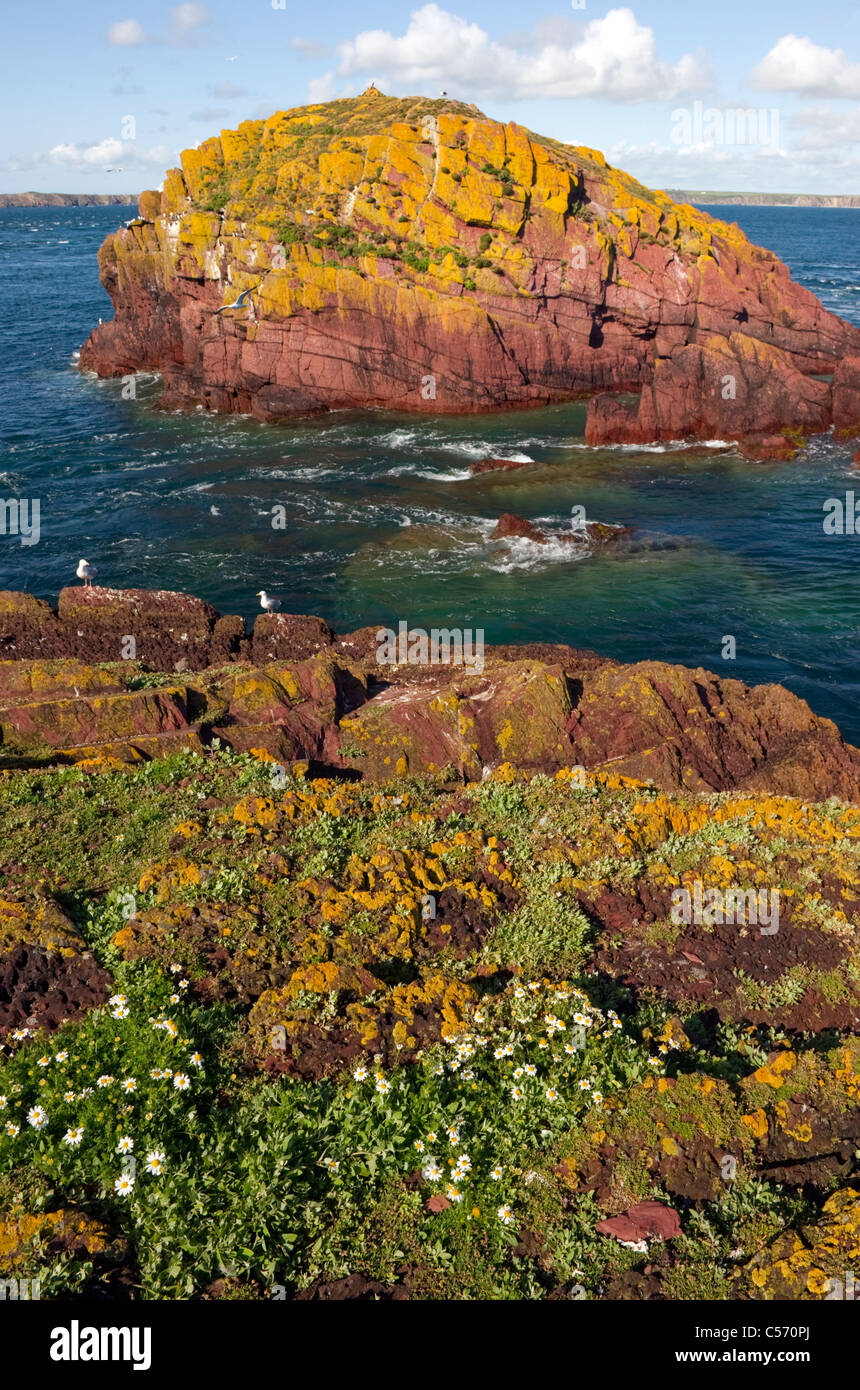 Red sandstone stack hi-res stock photography and images - Alamy
