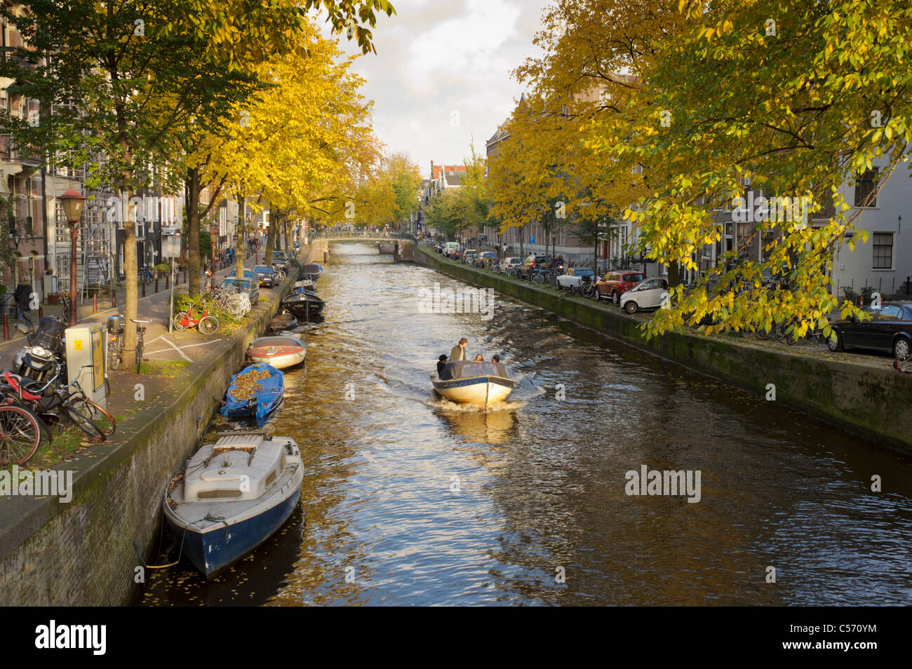 Amsterdam water tree hi-res stock photography and images - Alamy