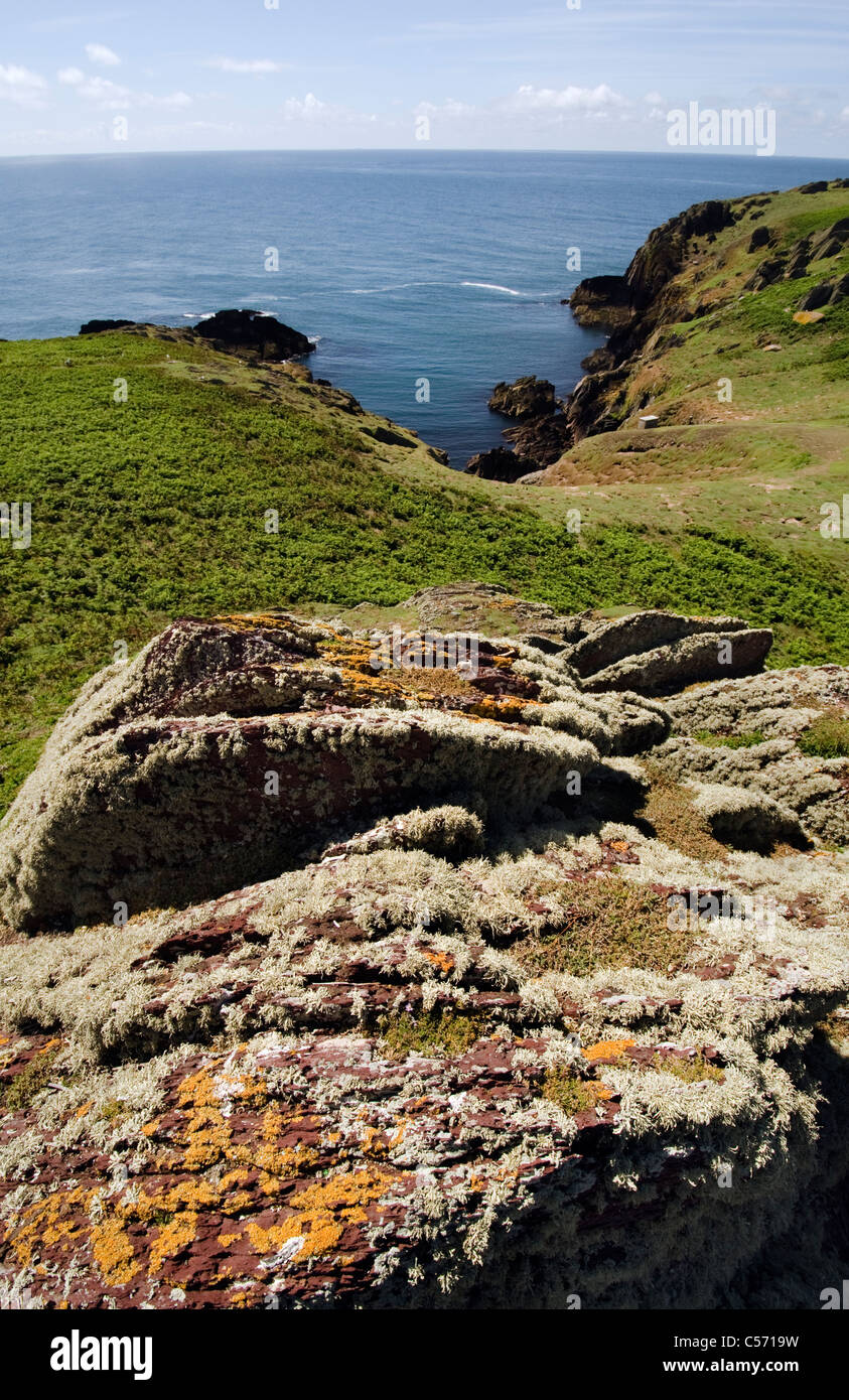 A landscape view of Skokholm island from the top of Spy Rock Stock ...