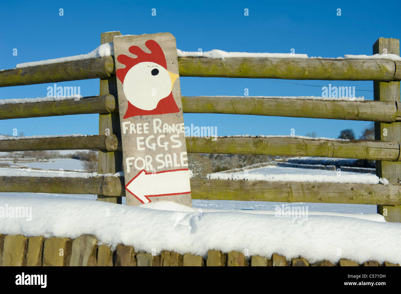 Free range chicken eggs sale hi-res stock photography and images - Alamy