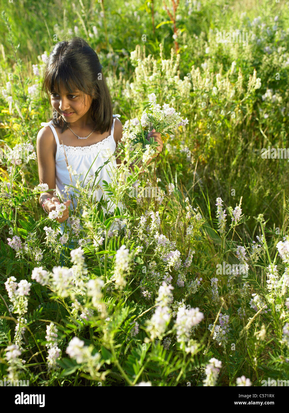 Girl sitting in field of flowers Stock Photo - Alamy