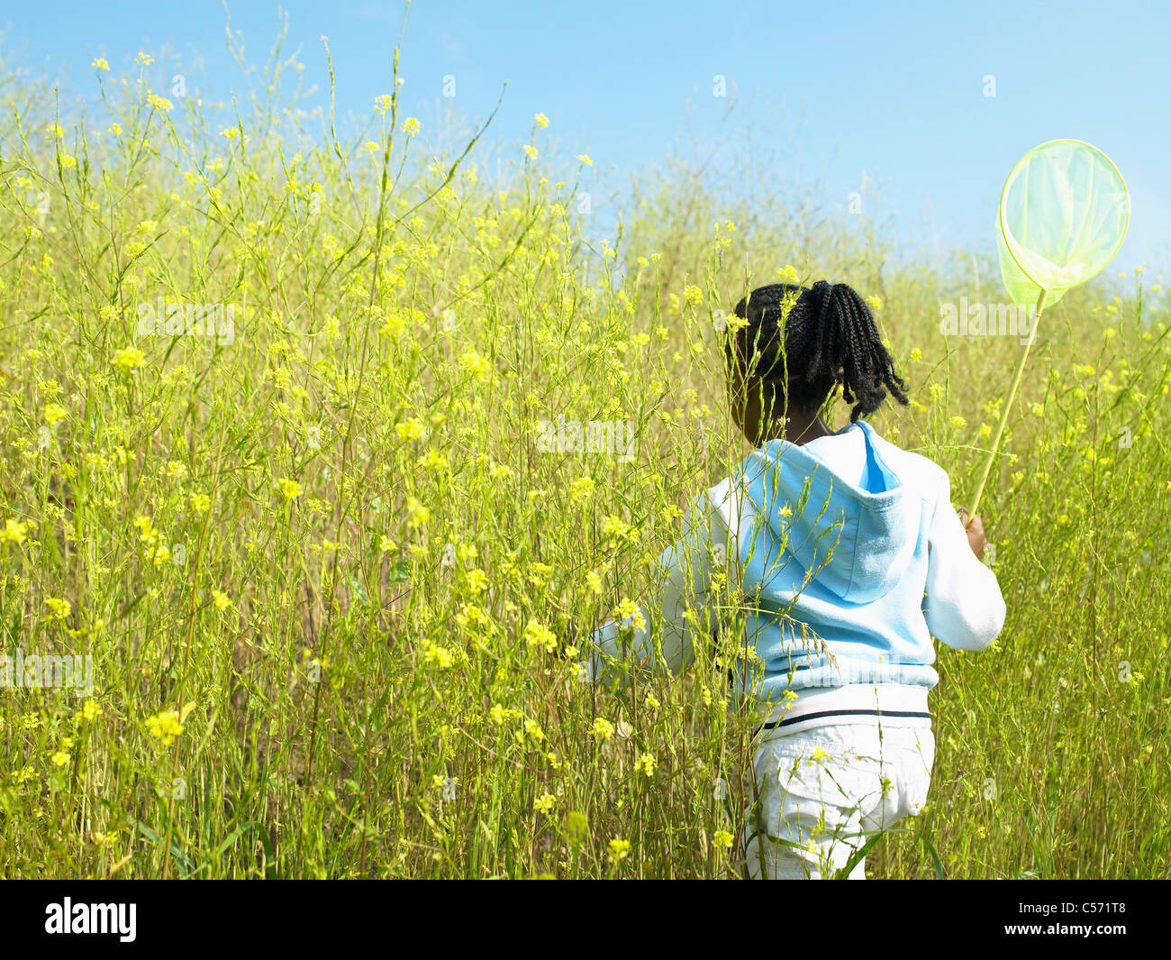 Girl carrying net in field of flowers Stock Photo - Alamy