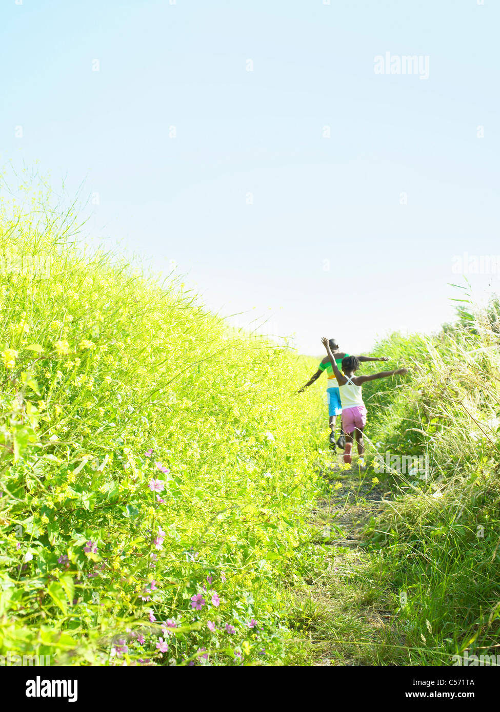 Children playing in field of flowers Stock Photo - Alamy