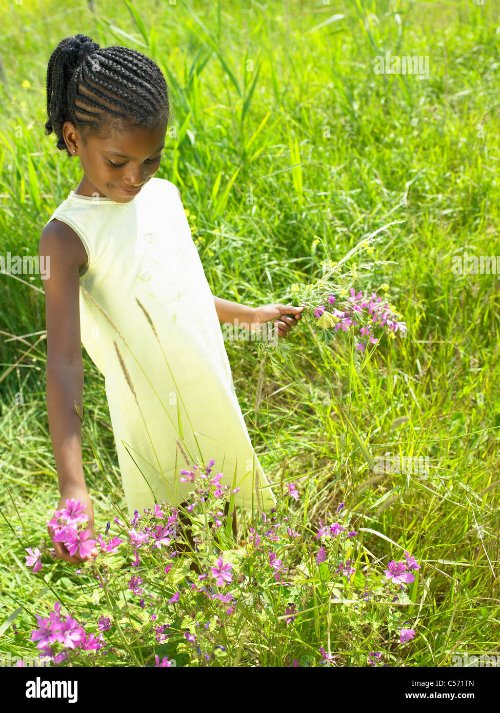 Girl picking flowers in field Stock Photo - Alamy