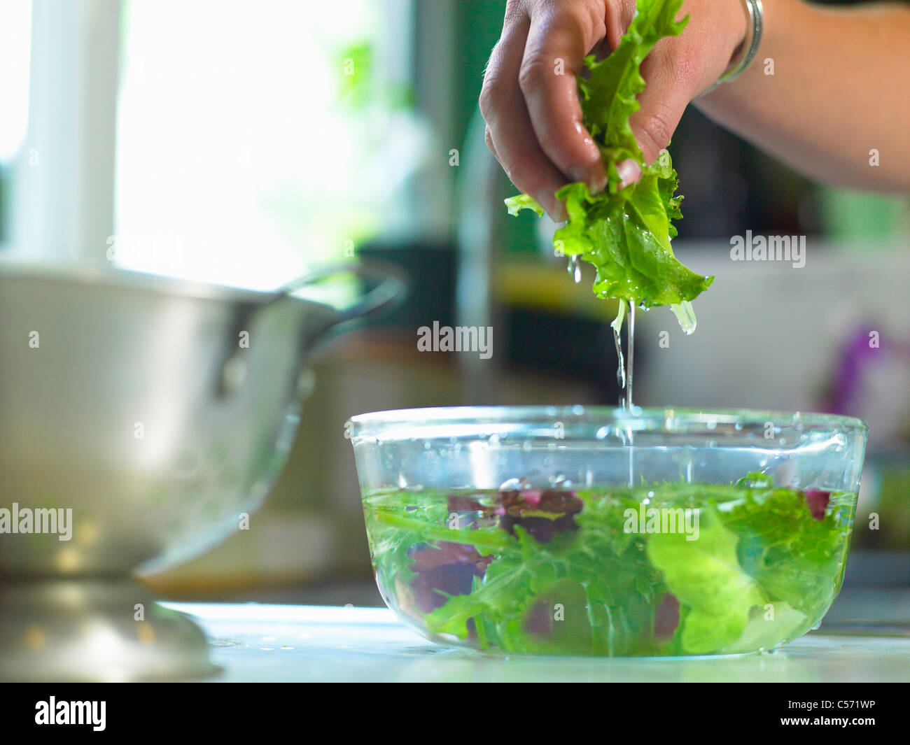 Woman washing lettuce in bowl Stock Photo - Alamy