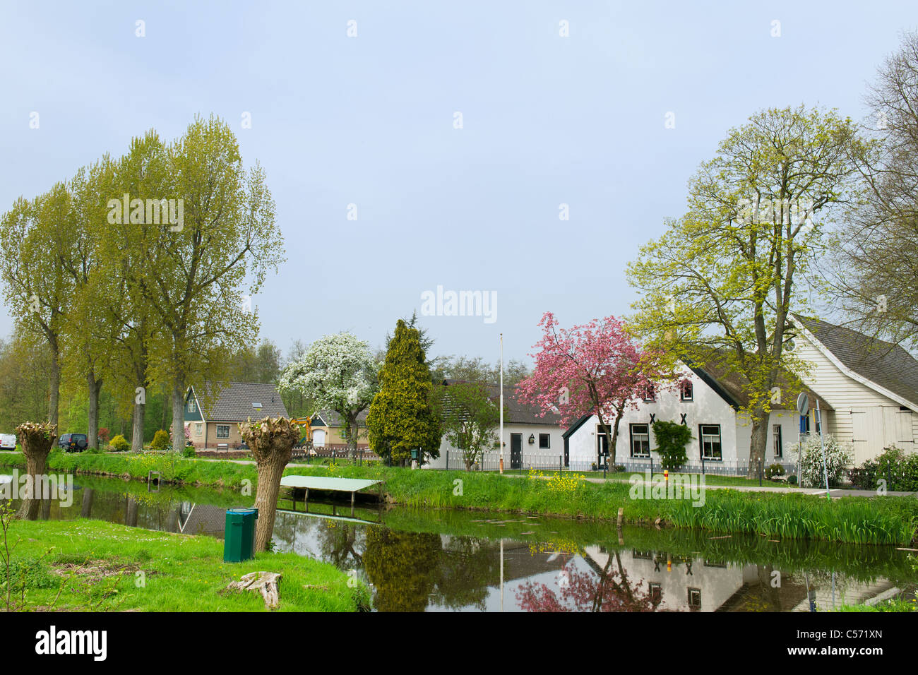 Typical Dutch landscape with farmhouses and water Stock Photo - Alamy