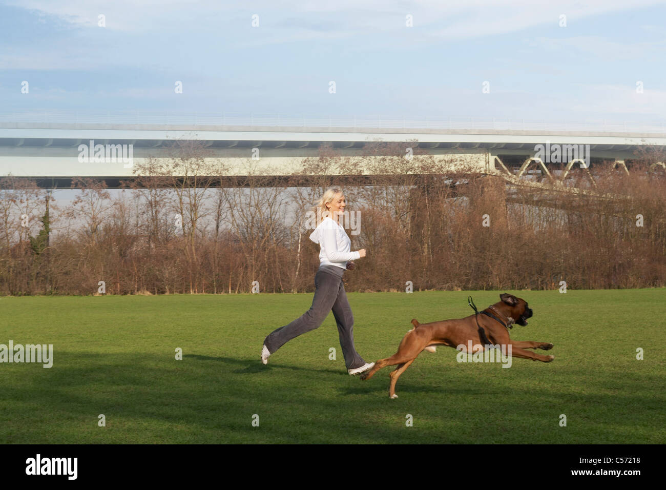 Human boxer dog woman hi-res stock photography and images - Alamy