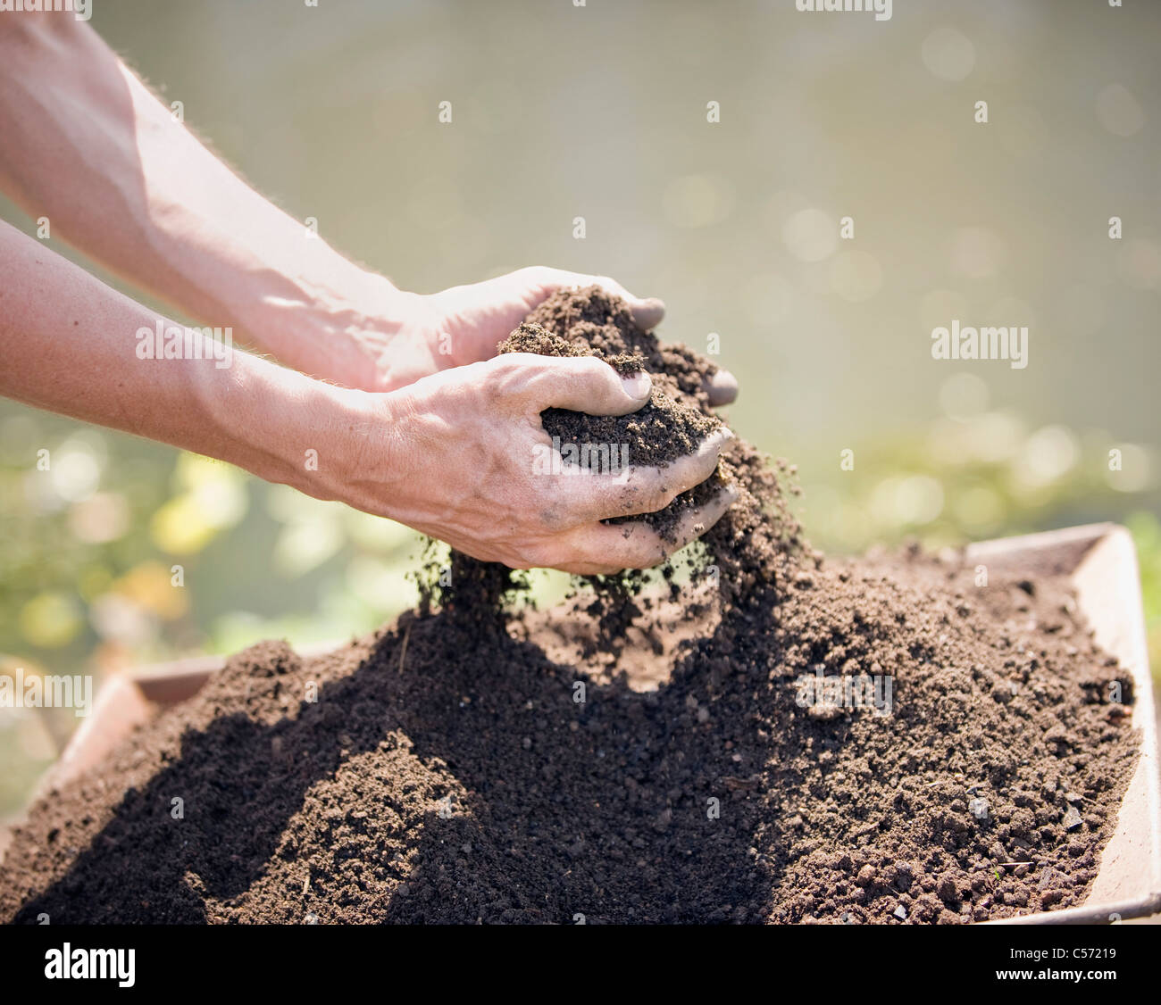 Hands cupping handful of soil Stock Photo - Alamy