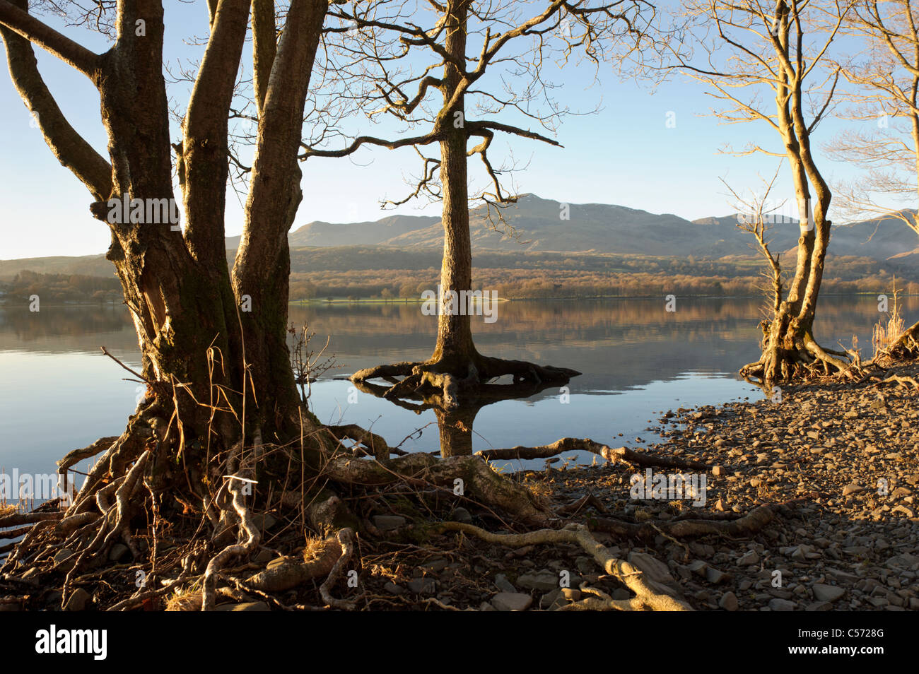 View across Coniston Water towards the Old Man of Coniston on a still ...