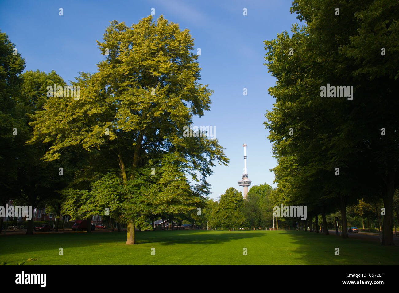 Holland park avenue hi-res stock photography and images - Alamy