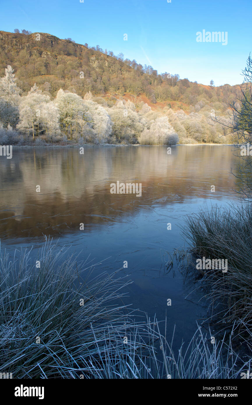 Yew Tree Tarn Lake District High Resolution Stock Photography and ...