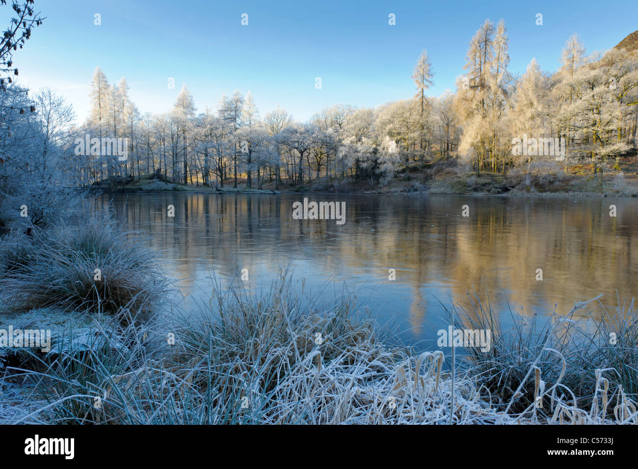 Yew tree tarn lake district hi-res stock photography and images - Alamy