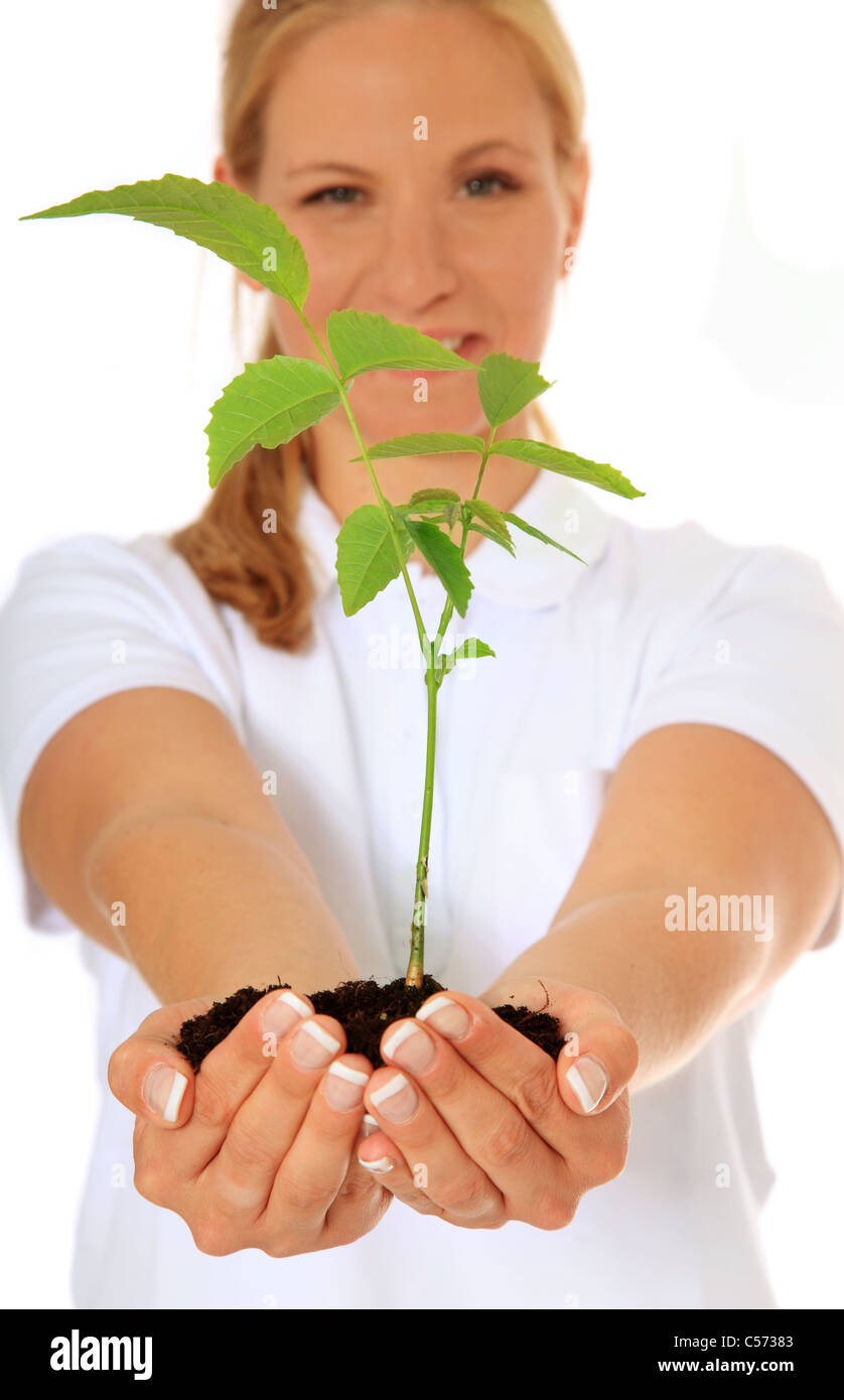 Woman holding young tree. All on white background Stock Photo - Alamy