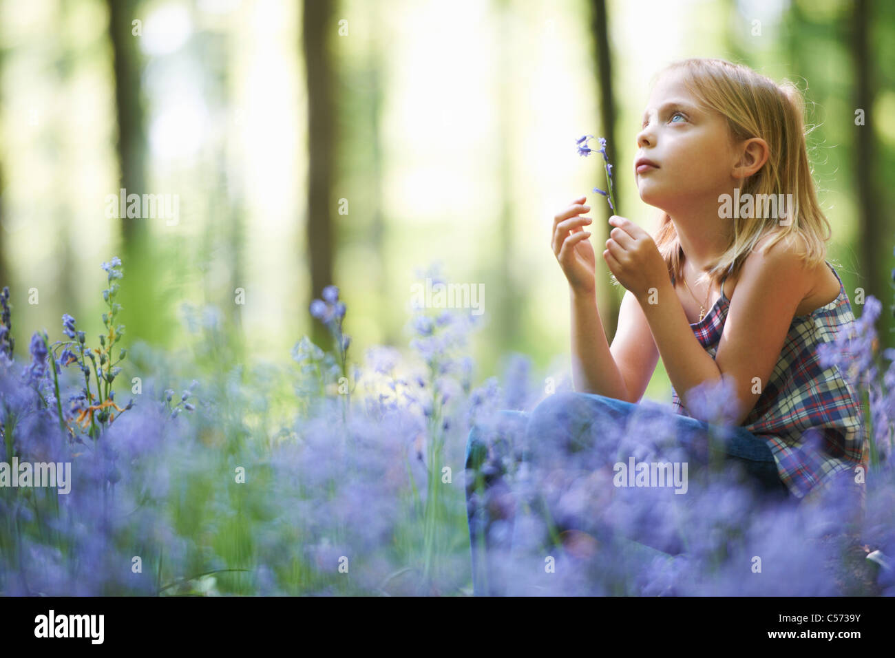 Girl sitting in field of flowers Stock Photo - Alamy