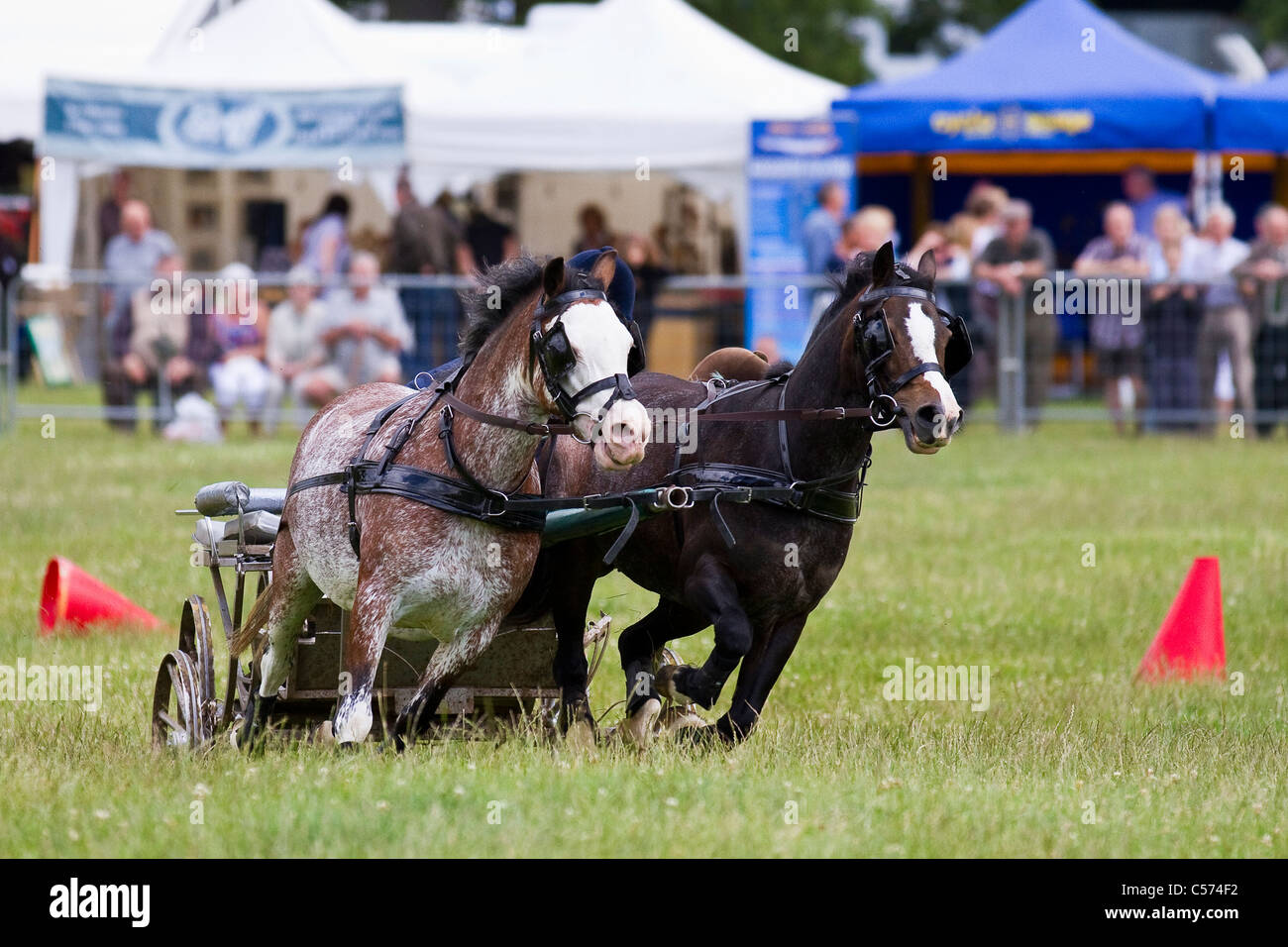 Scurry Racers at Raby Castle Game & Country Fair, Staindrop, Durham, UK ...