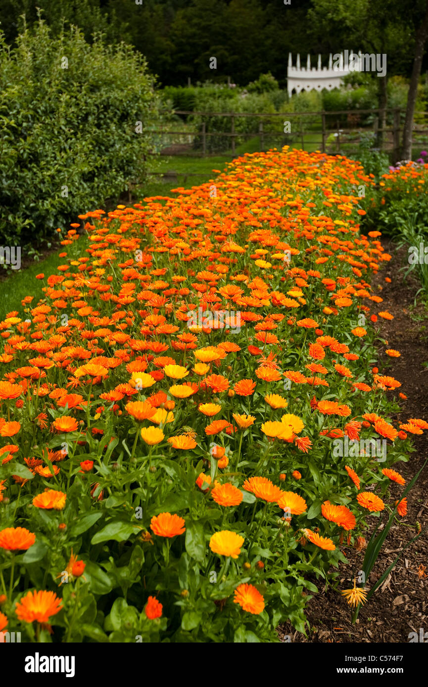 Architecture rococo flower hi-res stock photography and images - Alamy